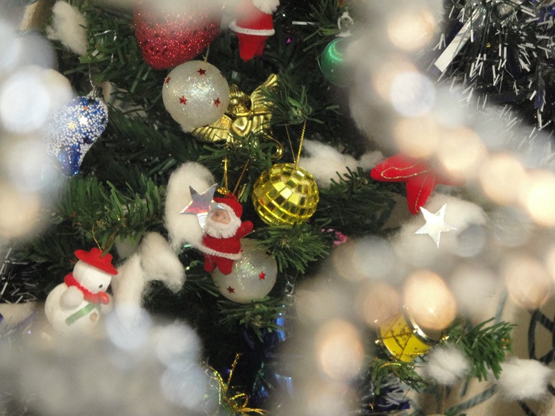 Sharing Some X-Mas Pics From Yesterday.. – VanityCaseBox